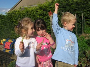 Ashvale Creche » Food in the creche